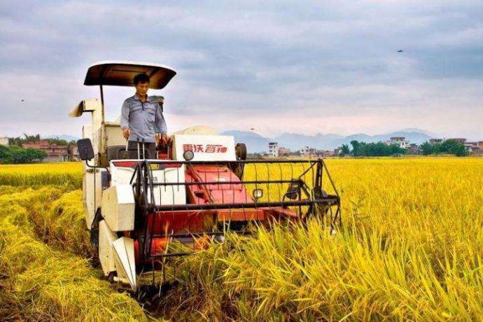 Across China: Chinese farmers use new methods as agriculture goes ...