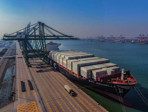 North China port sees surge in imports of frozen meat - Xinhua Silk Road