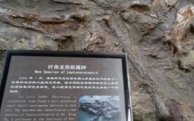 New turtle footprint fossils from Early Cretaceous Period found in east ...