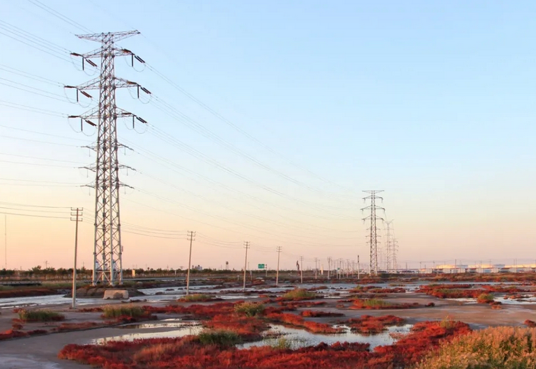 500 kV substation project in China's Tianjin completes main equipment ...
